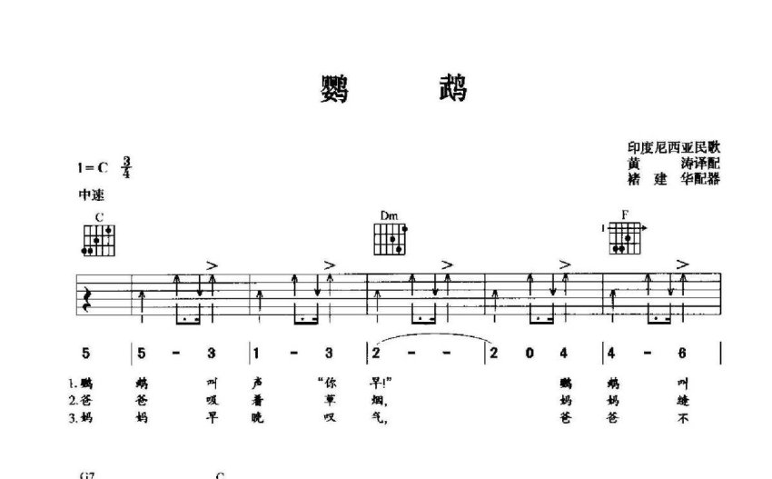 印尼民歌《鹦鹉》吉他谱c调吉他弹唱谱 打谱啦